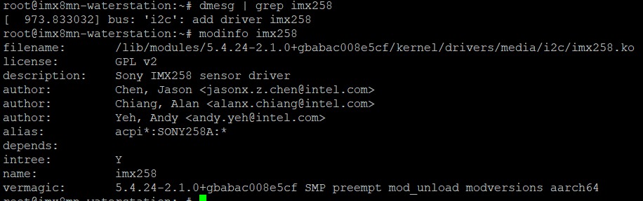 How to configure custom camera MIPI sensor dts on ... - NXP Community
