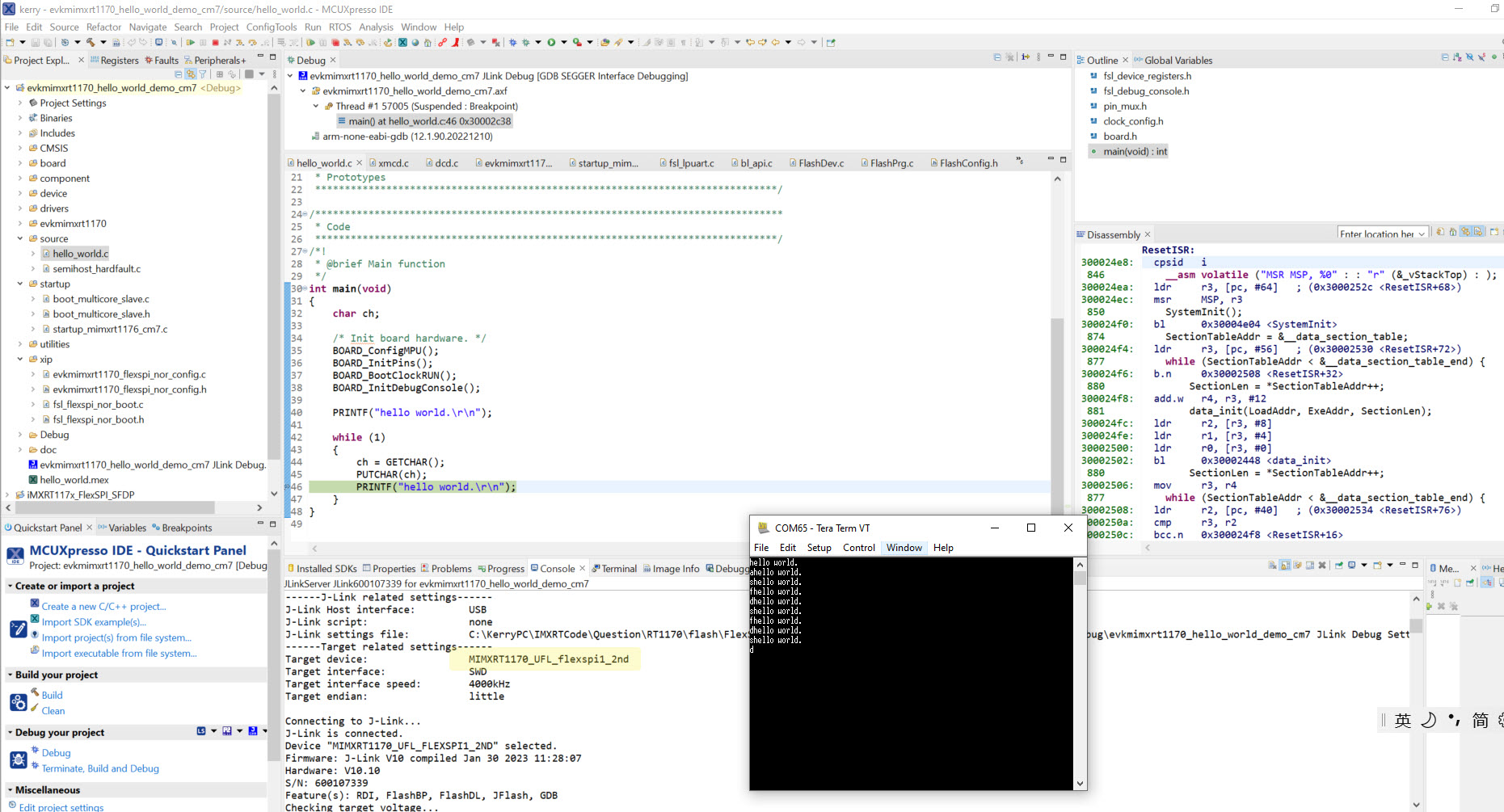 RT1170 flexSPI1 secondary QSPI flash debug flashdriver - NXP Community