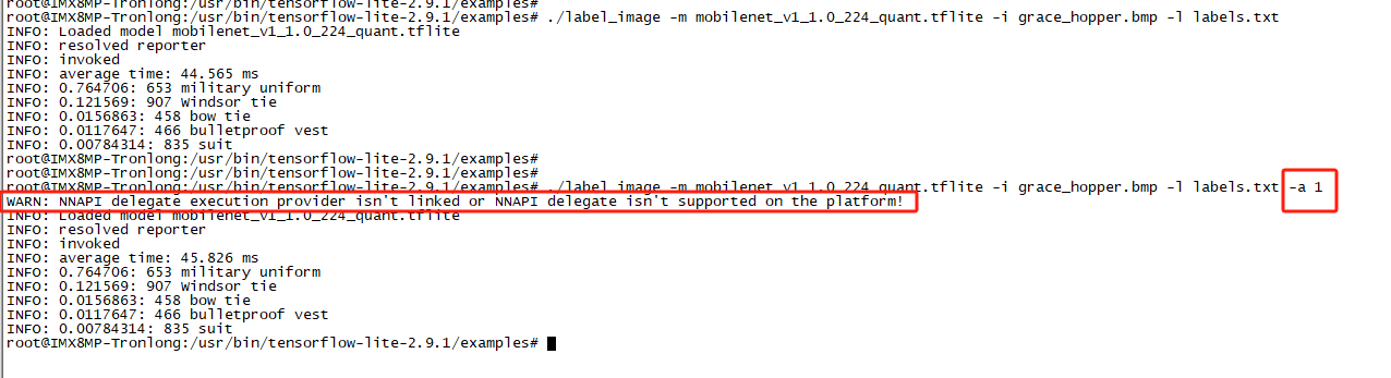 IMX8MP error running TensorFlow Lite case - NXP Community