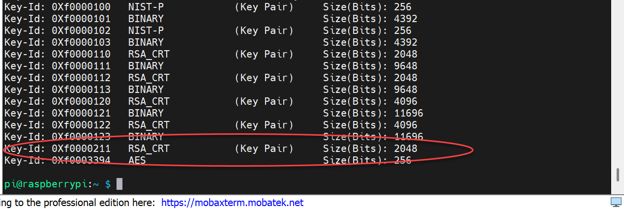 how to set RSA private key into SE050 - NXP Community